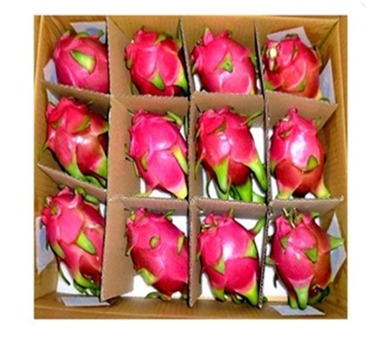 Buy Fresh Dragon Fruit White Box in Dubai, Sharjah, Ajman, Abu Dhabi ...